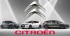 2009-2019 Citroën DS3 Service Light Reset Guide